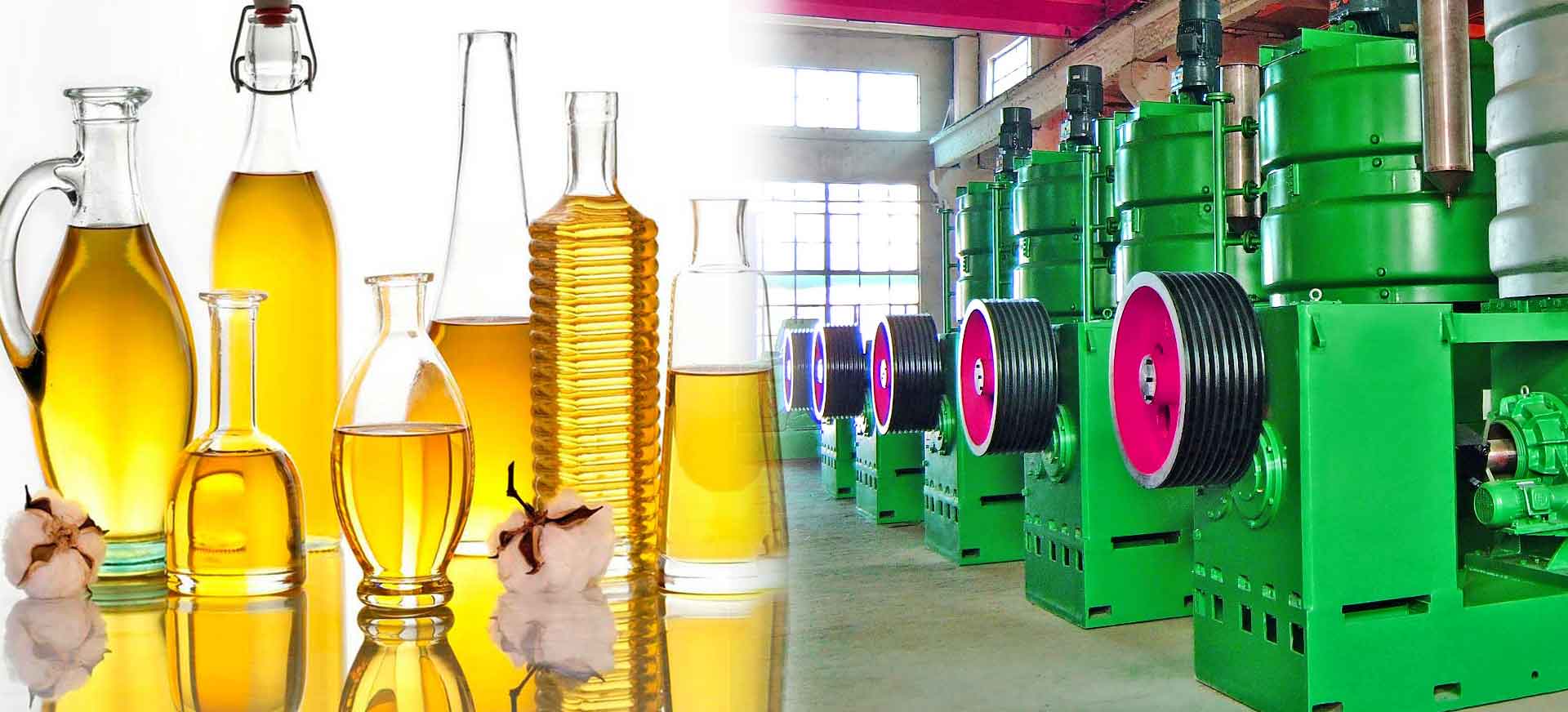 Trbex Impex Pvt. Ltd.